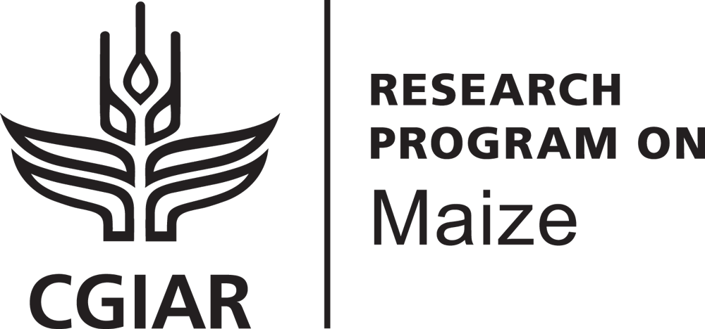 CGIAR Research Programs and Platforms – CIMMYT Annual Report 2020