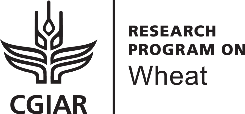 CGIAR Research Programs and Platforms – CIMMYT Annual Report 2020
